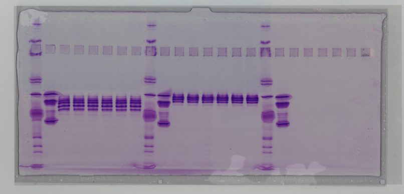 SERVA HPE™ BlueHorizon™ - Horizontal flat bed system for reproducable ...