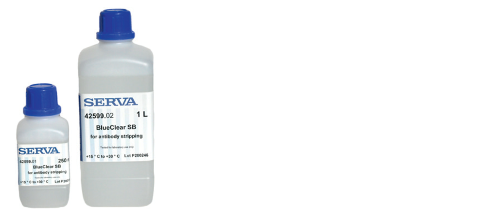 SERVA Western blotting - From gel to signal – SERVA portal