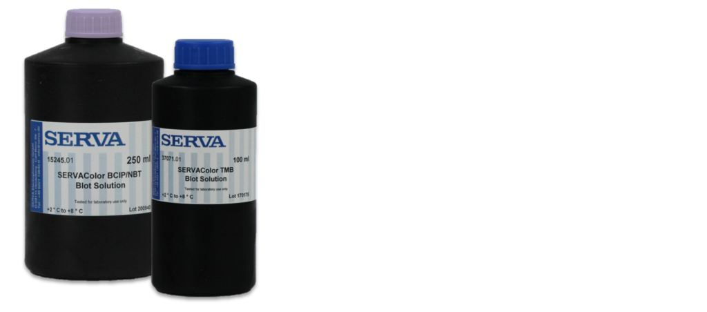 SERVA Western blotting - From gel to signal – SERVA portal