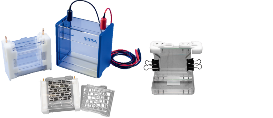 SERVA Western blotting - From gel to signal – SERVA portal