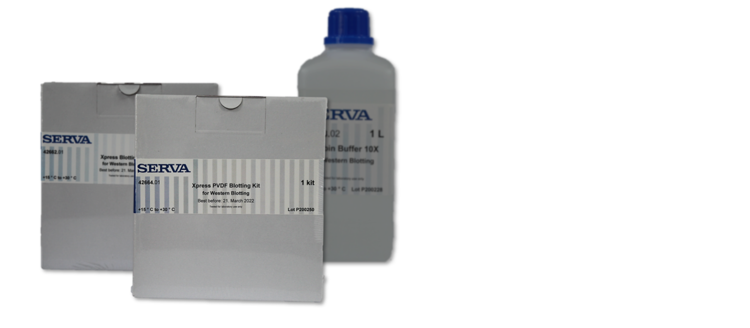 SERVA Western Blotting - Vom Gel zum Signal – SERVA portal